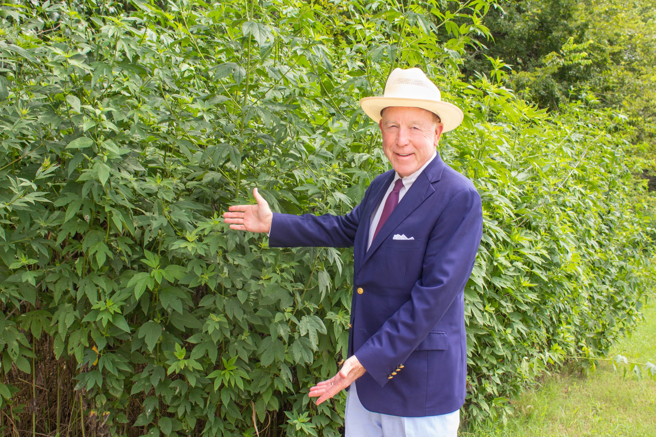 How to Beat Ragweed Allergies - Hotze Health & Wellness Center ...