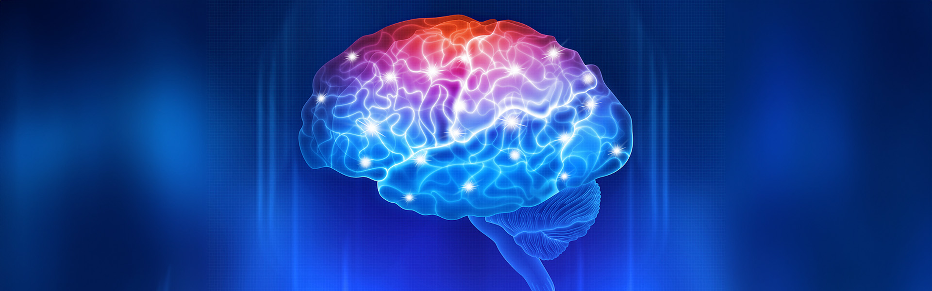 Treatment for ADHS & Brain Support in Houston